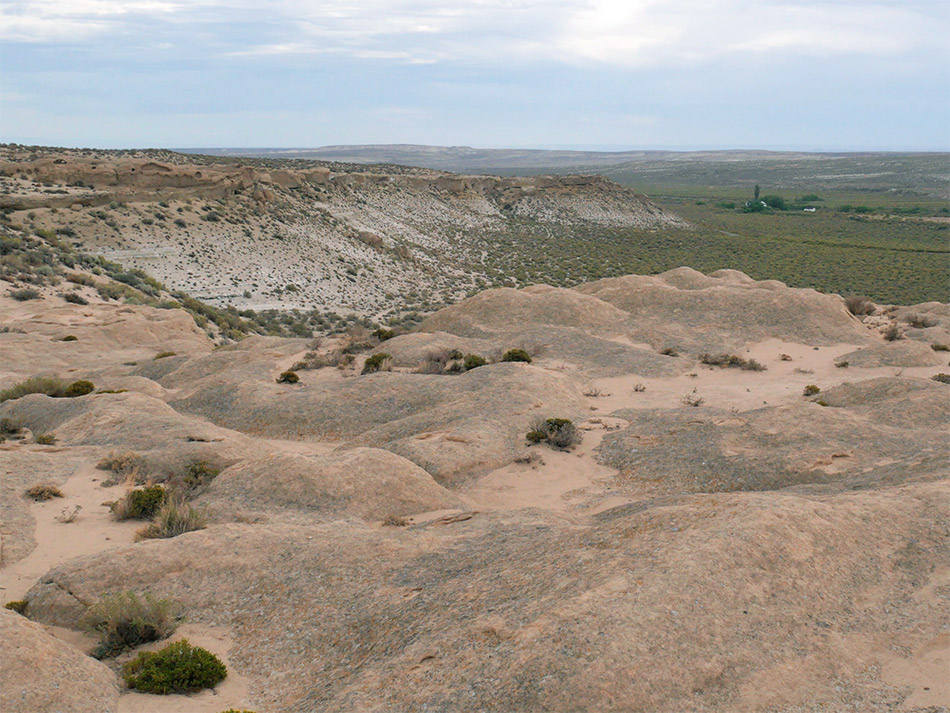 Shoofly Oolite & Bruneau Woodpile – Foundations in Genesis Idaho